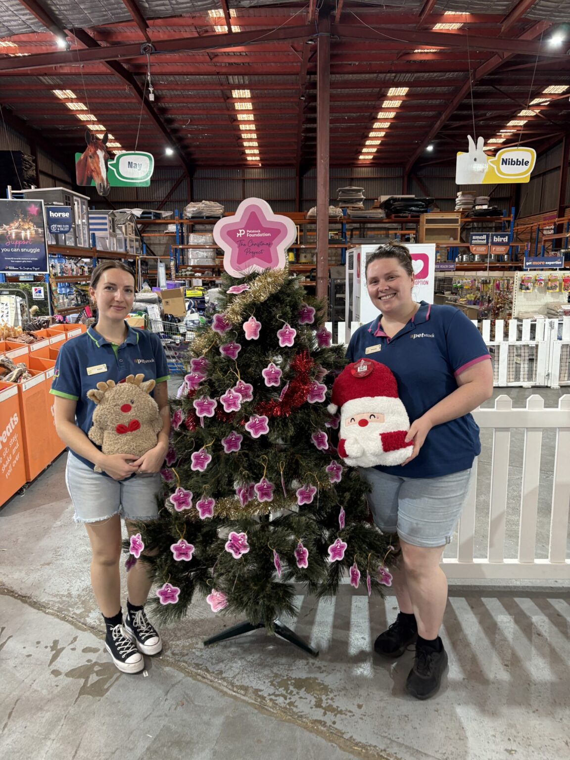 The Petstock Foundation Christmas Project launched in Newcastle ...