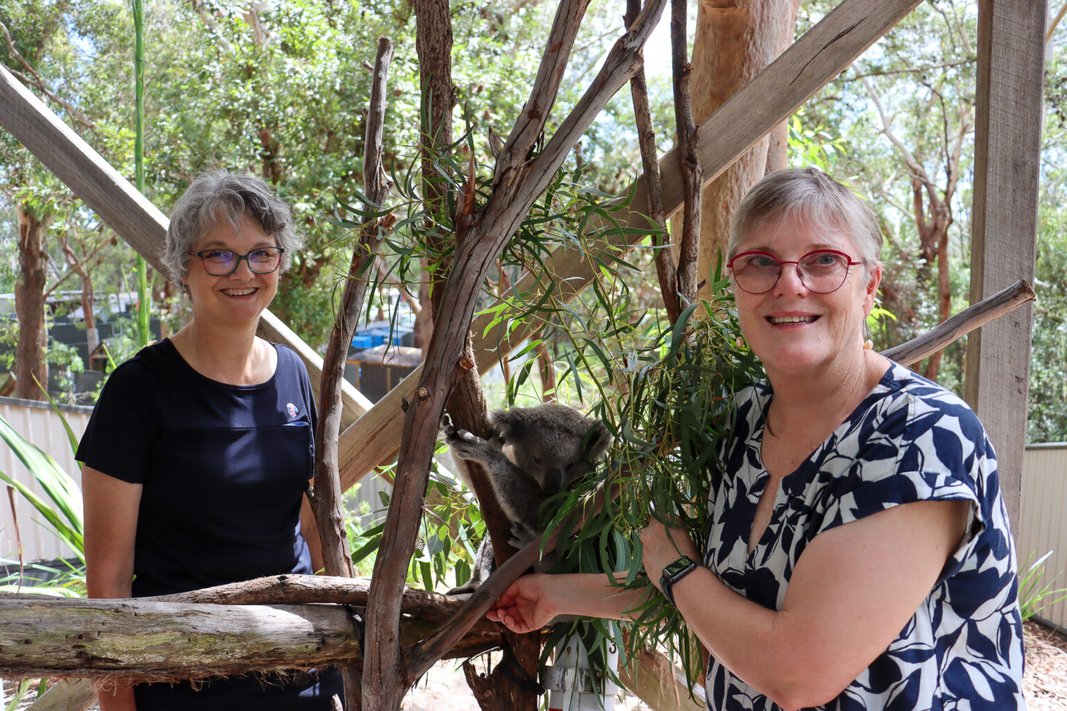 Hunter Imaging donation supports Koala Hospital | Hunter Headline