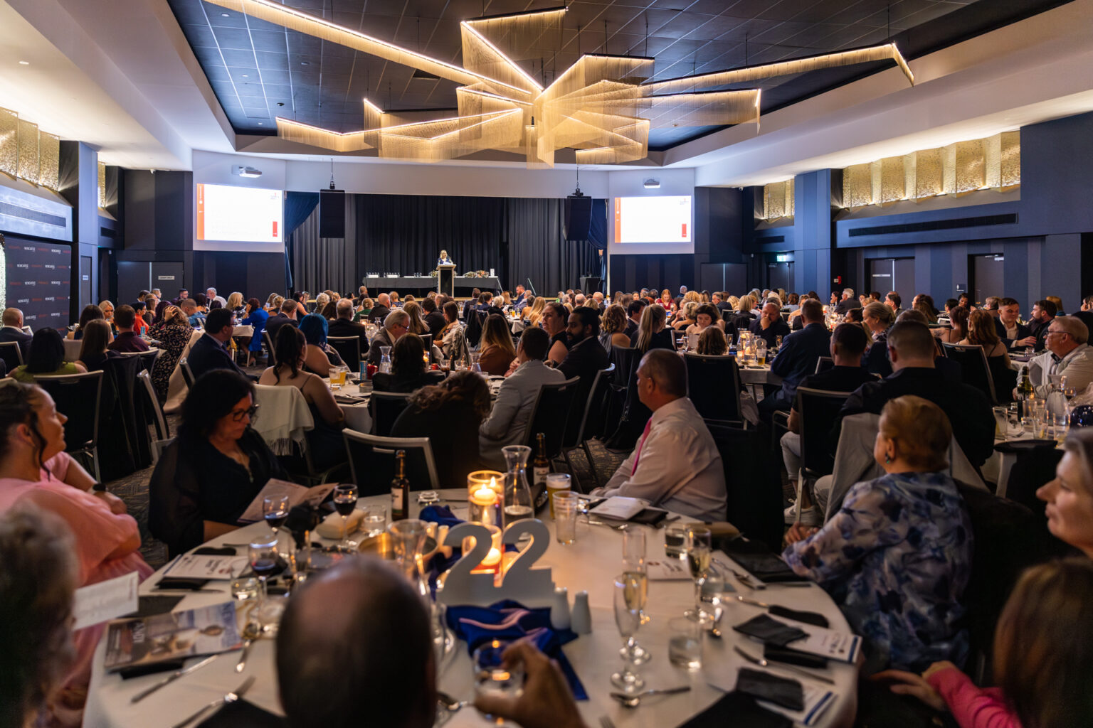 Hunter Region Business Excellence Awards 2024 finalists unveiled ...